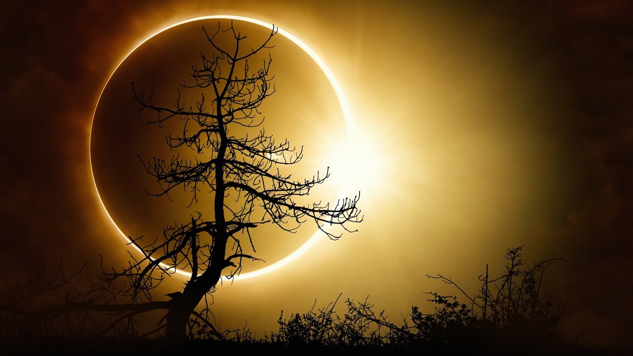 Understanding Impermanence - Why Reality Is Always Changing - YouTube