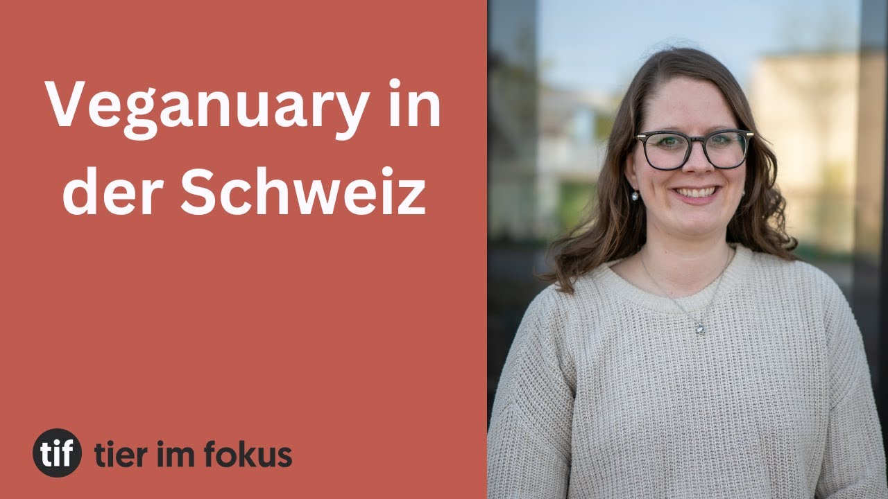 Veganuary: Der spielerische Einstieg in die vegane Lebensweise - Sarah ...