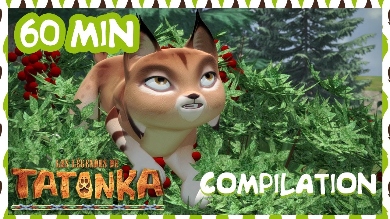 Les Légendes de Tatonka 🐺 Nouvelle Compilation 1H 🐺 En Français - YouTube