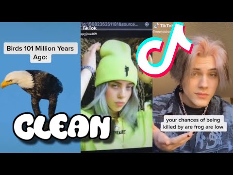 CLEAN tiktoks that are actually funny | Clean videos