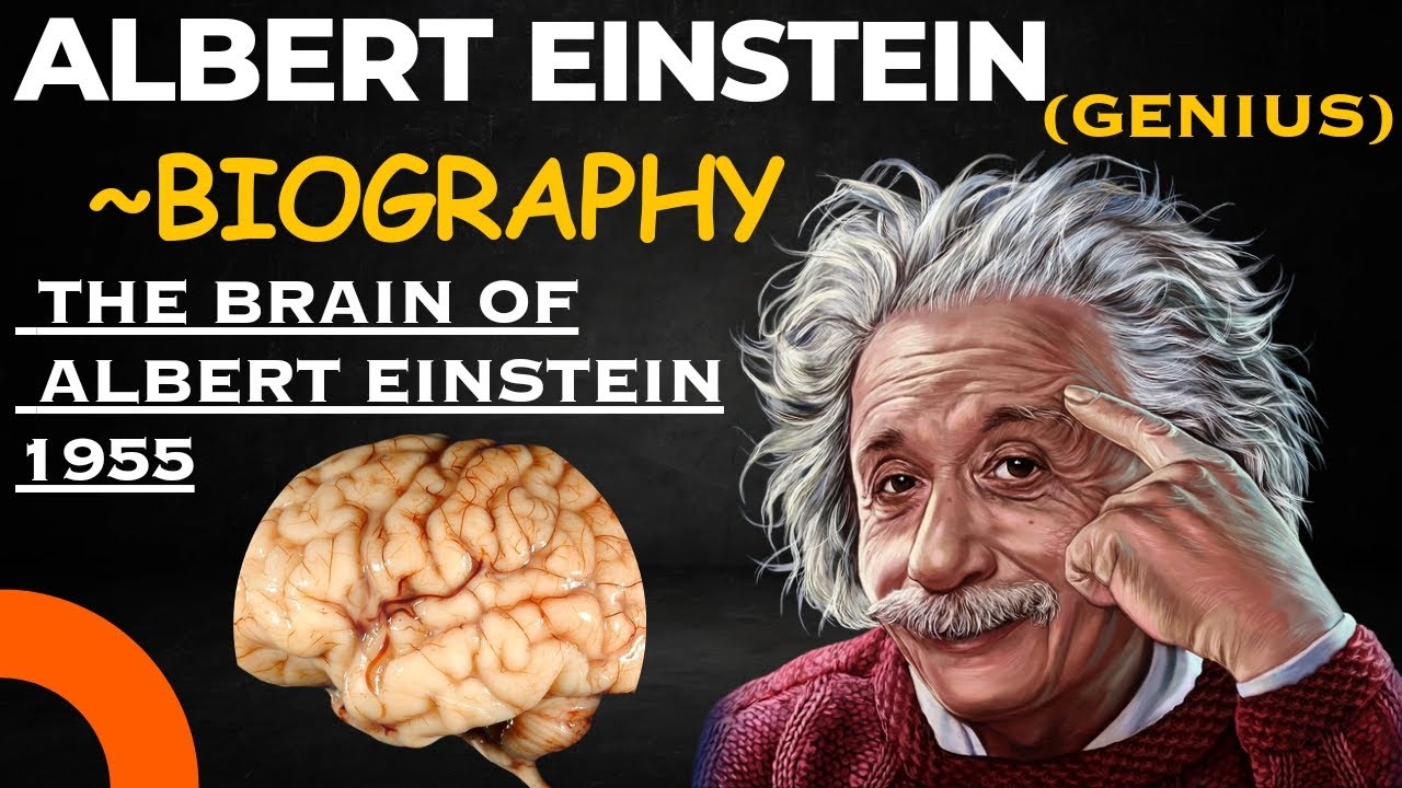Biography Of Albert Einstein | Genius | The Brain Of Albert Einstein ...