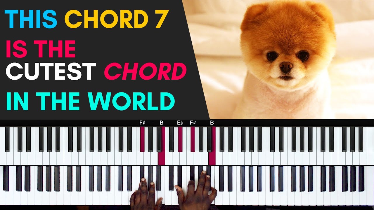 This Chord 7 Is the CUTEST Chord 7 You'll Ever Hear - YouTube