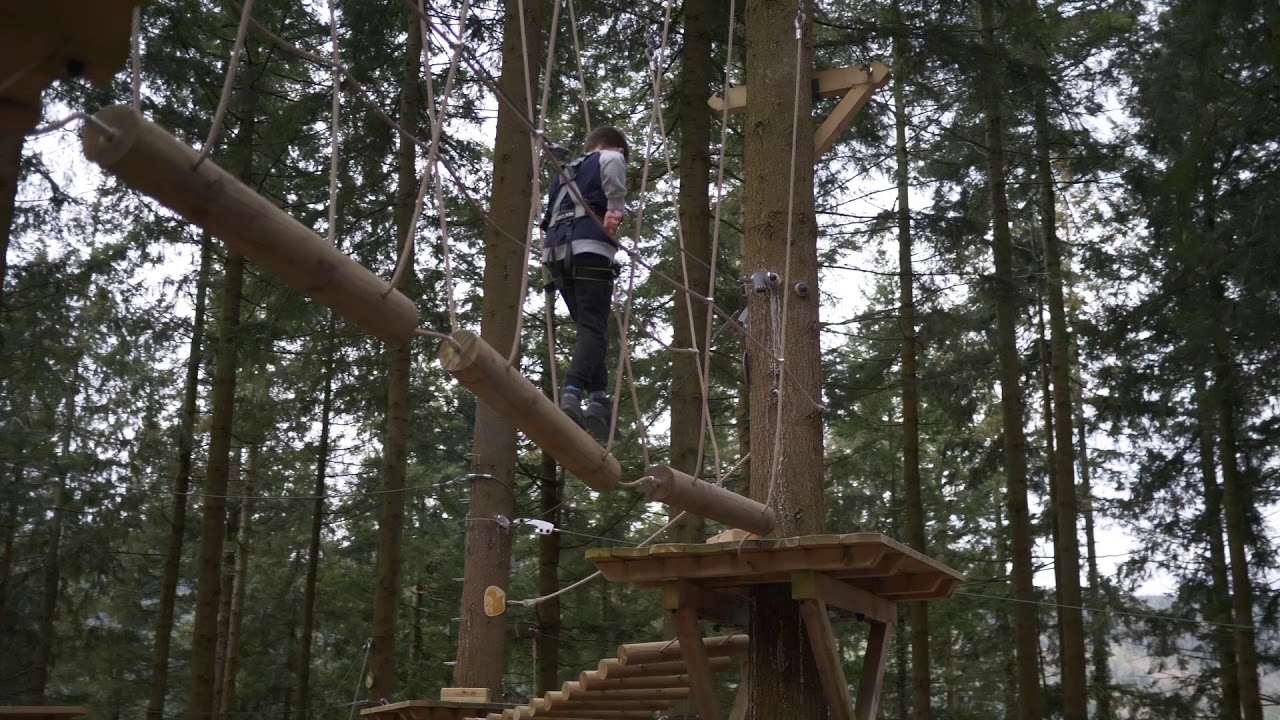 Zip World Fforest Tree Hoppers - YouTube