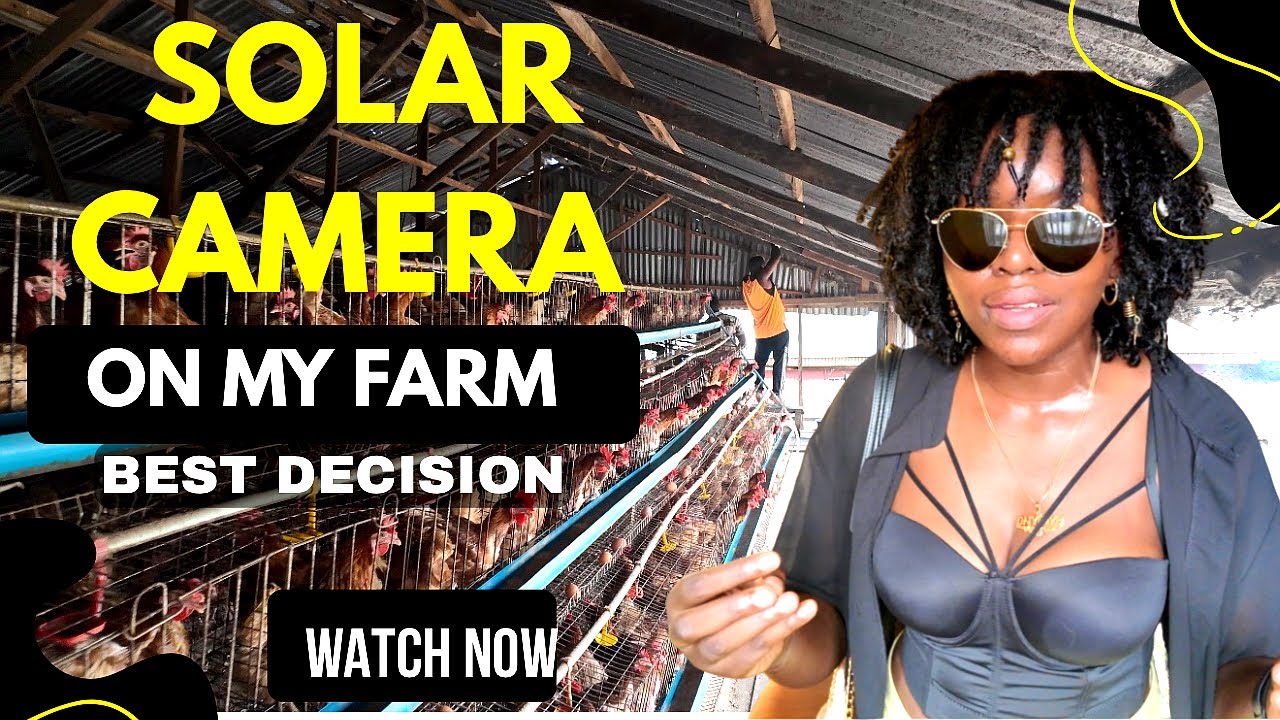 “I Installed a Solar Camera on My Farm and It Changed Everything for me ...