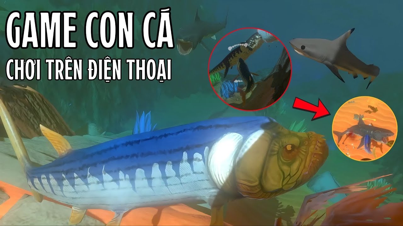GAME CON CÁ TÔI ĂN CÁ MẬP - YouTube