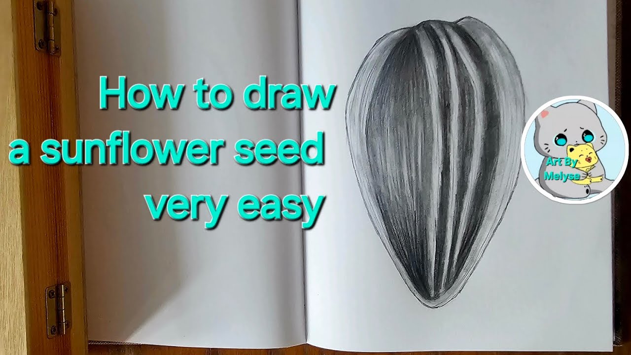 How to draw a sunflower seed , tutorial for beginners, step by step ...