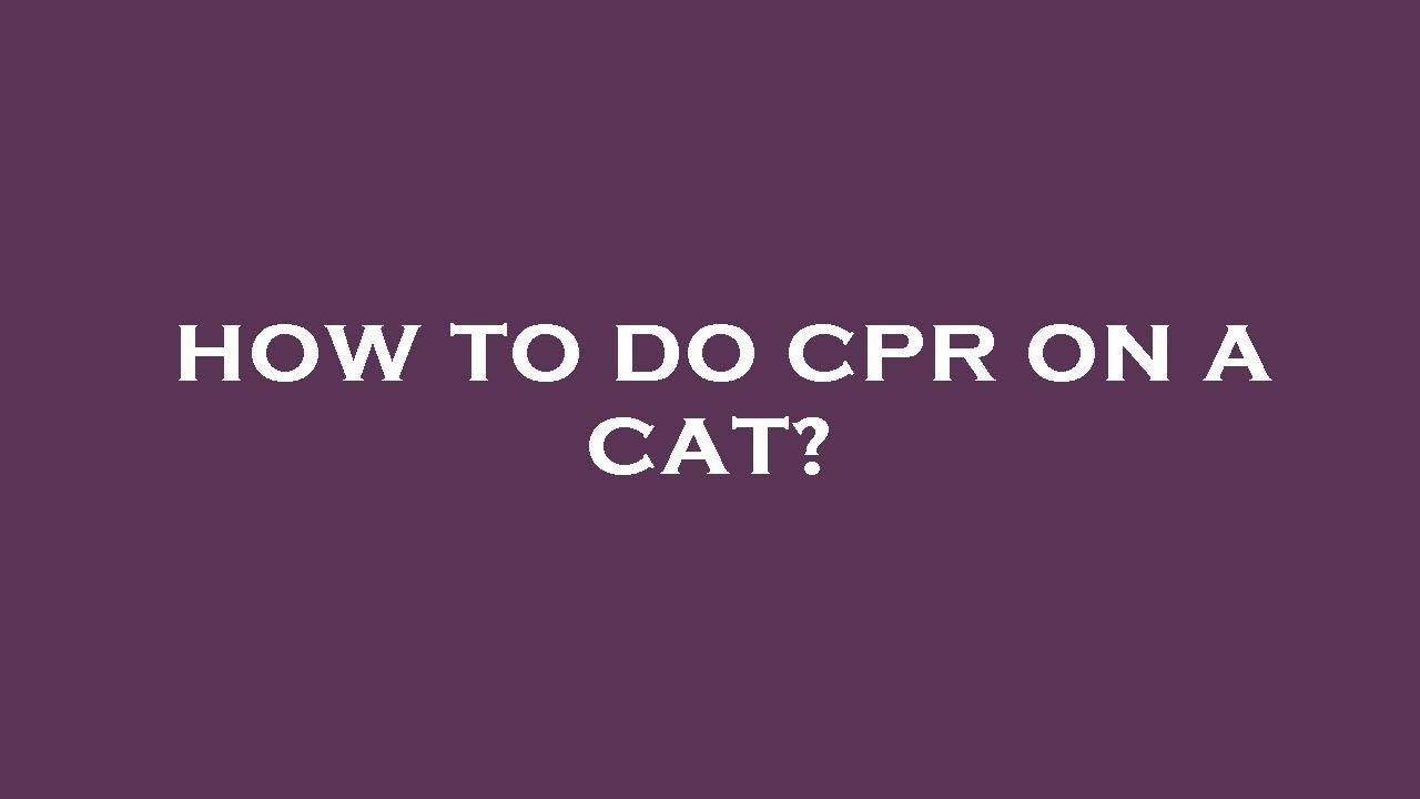 How to do cpr on a cat? - YouTube