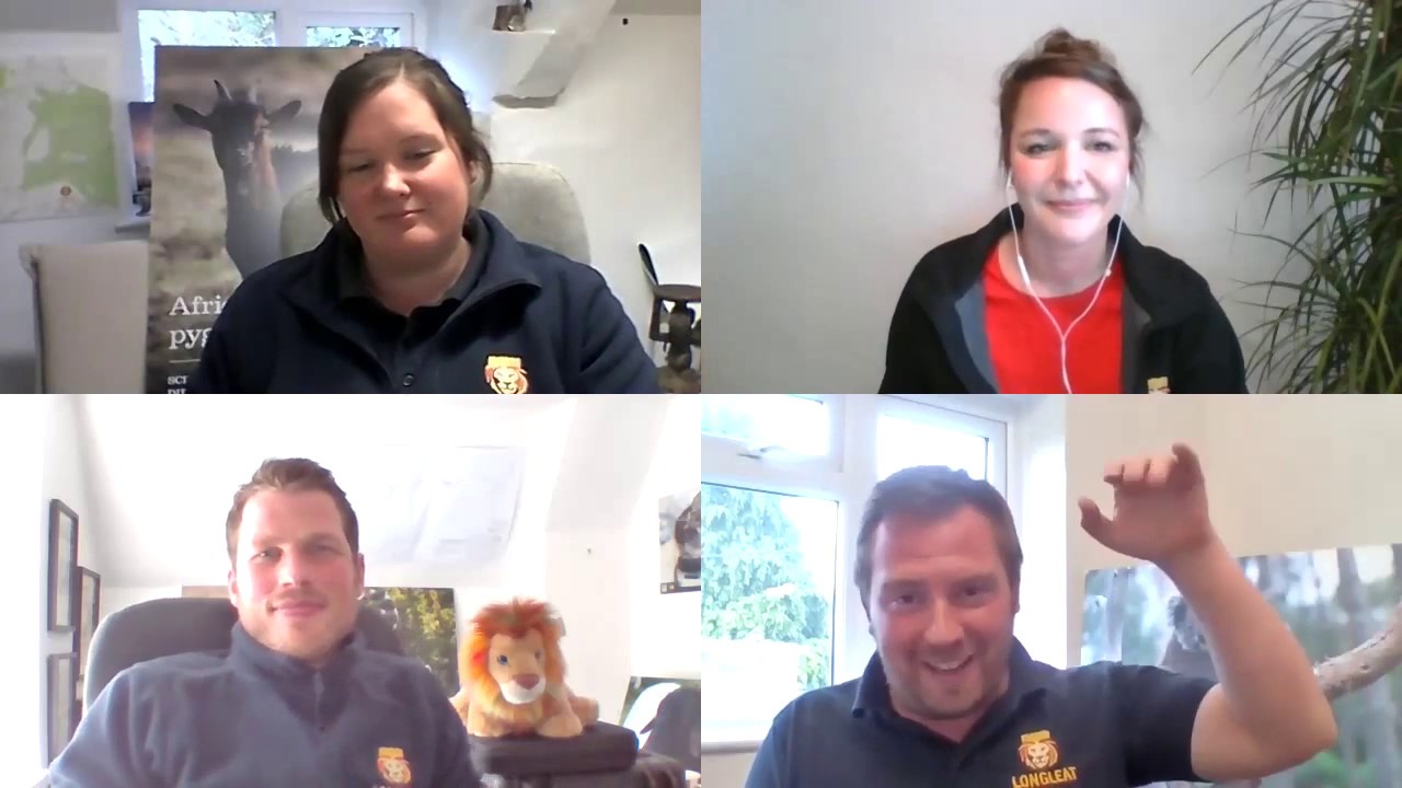 Longleat's Live Q&A with keepers (17th April 2020) - YouTube