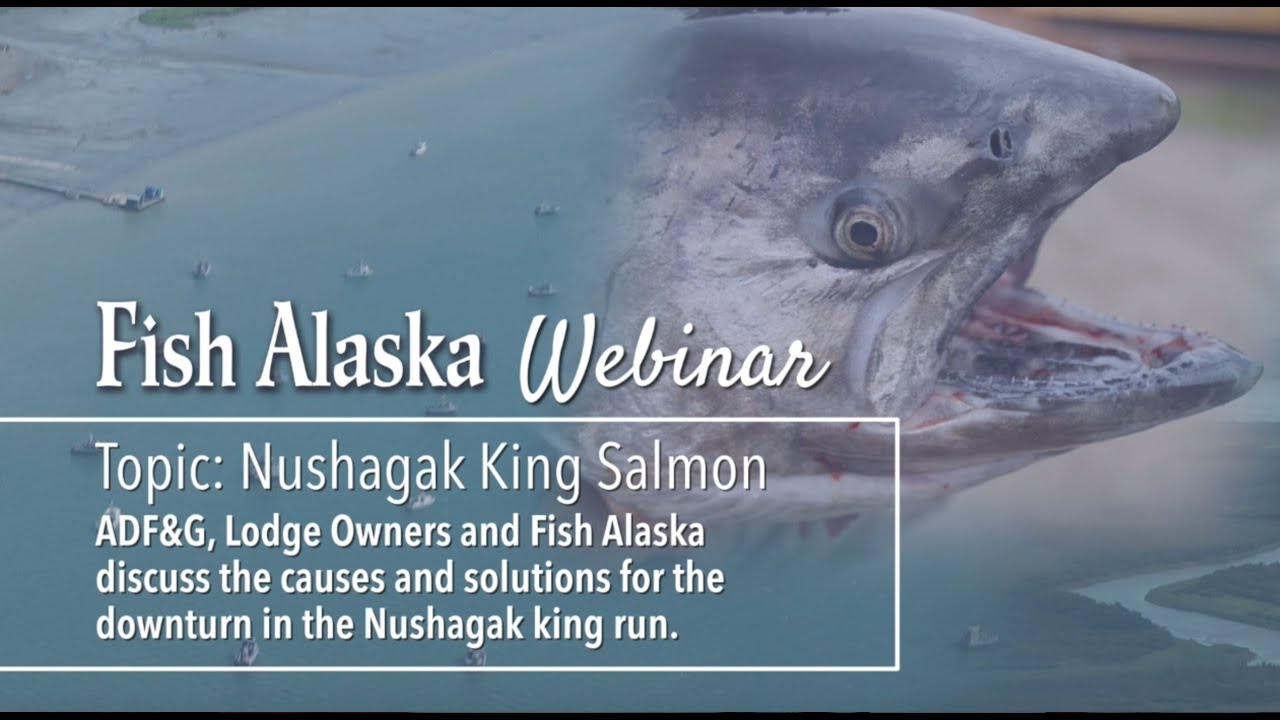 Nushagak King Discussion Part 1 - YouTube