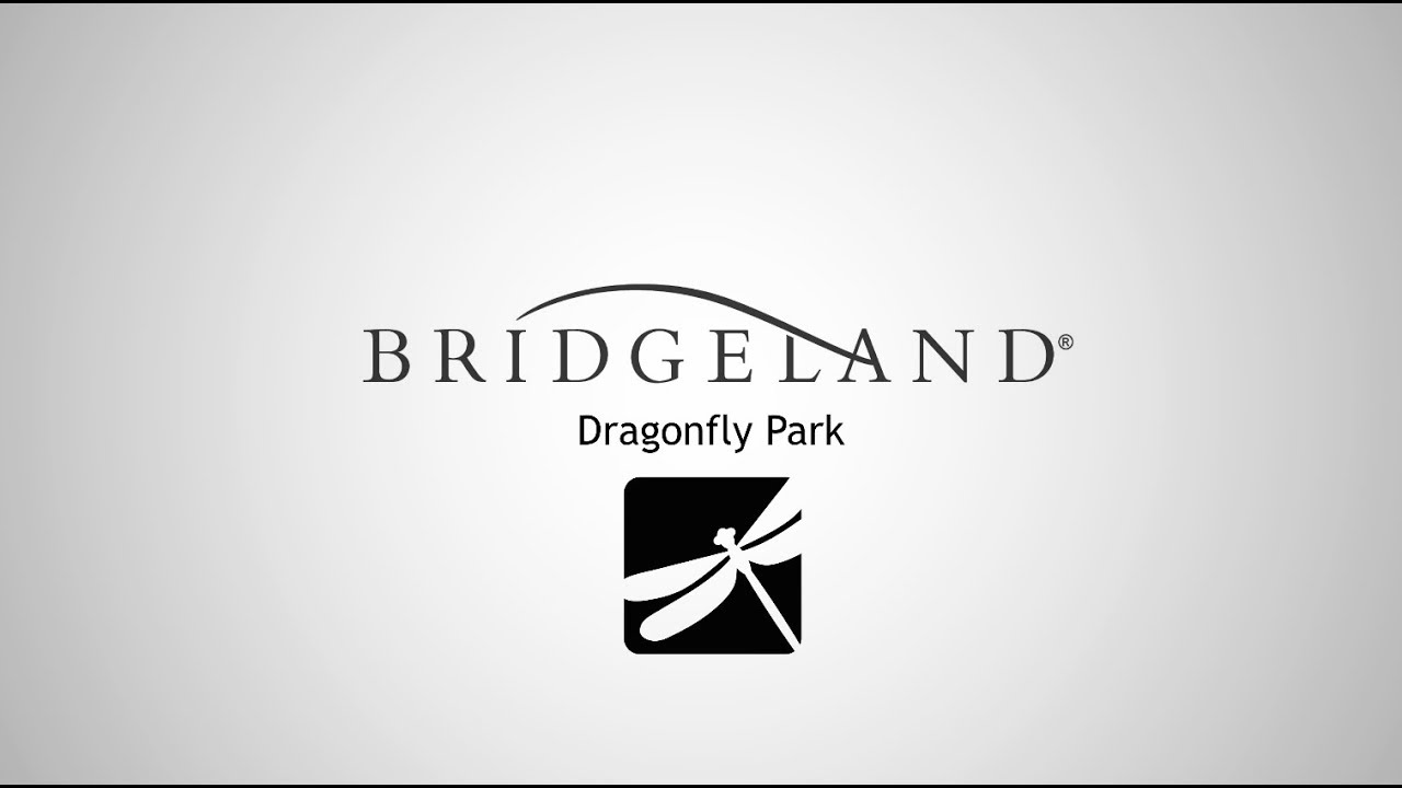 Dragonfly Park Grand Opening | Bridgeland - YouTube