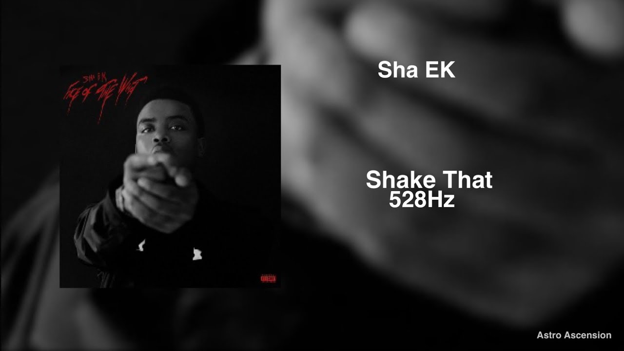 Sha Ek - Shake That [528Hz Heal DNA, Clarity & Peace of Mind] - YouTube