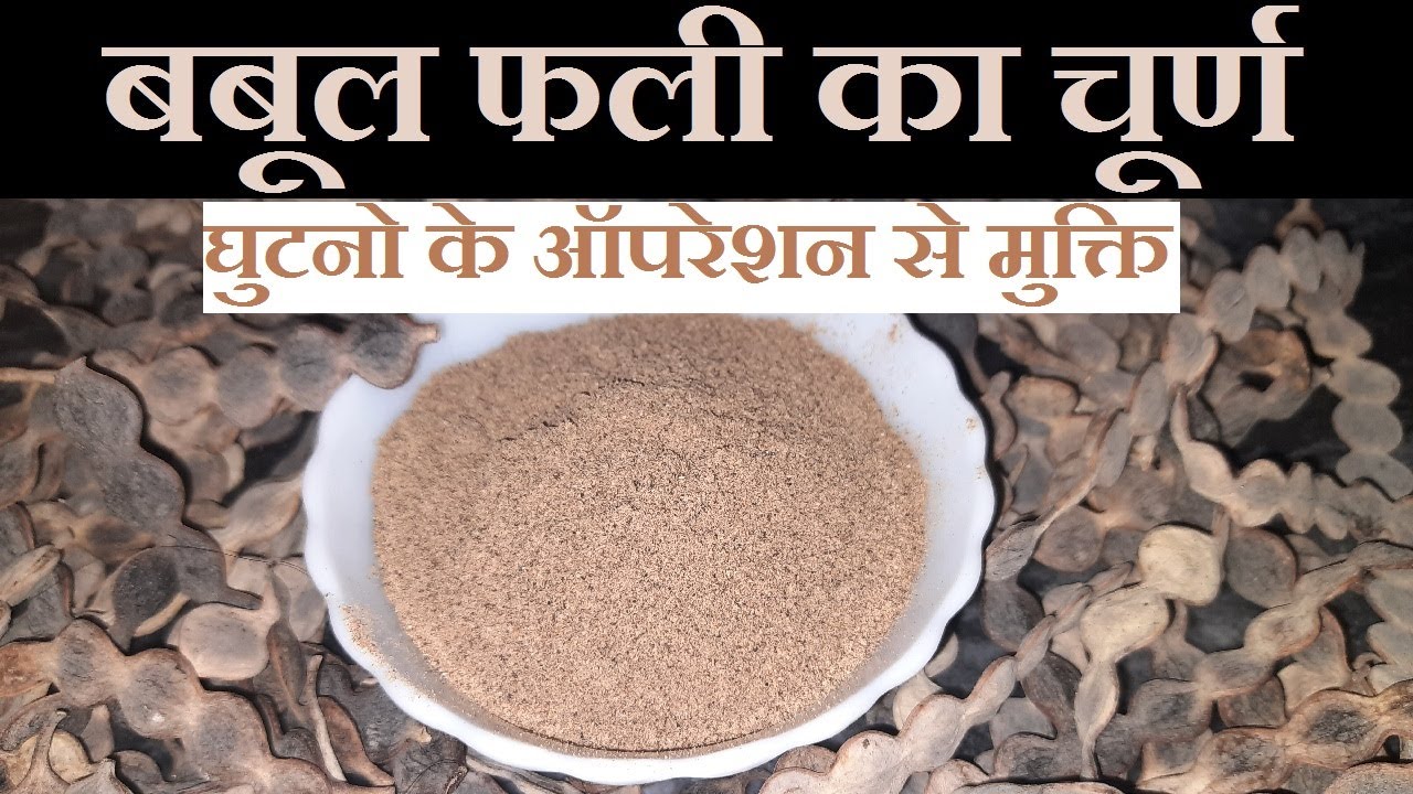 घुटनों और जोडो़ के दर्द का रामवाण उपाय, बबूल की फली का चूर्ण, घर पर ...