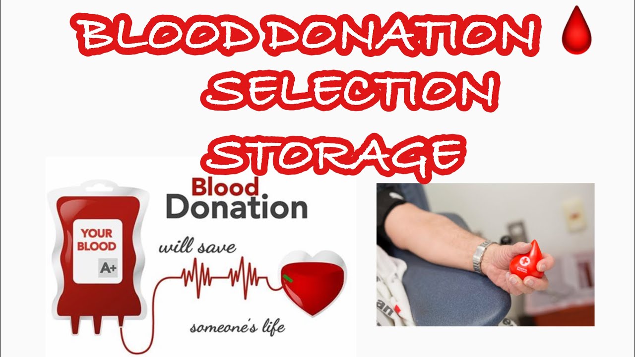BLOOD DONATION, SELECTION & STORAGE (TUTORIAL): D&N Medical Series ...