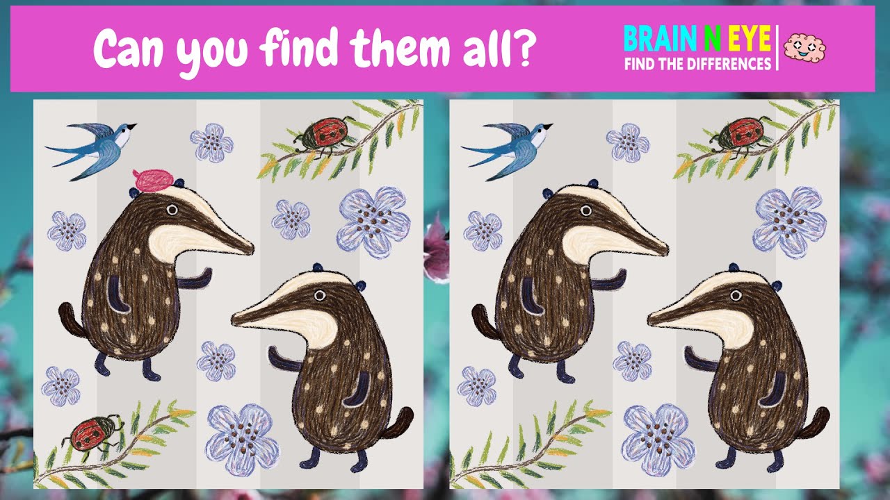 【Find the difference game】To exercise your brain. Try it! | hand drawn ...