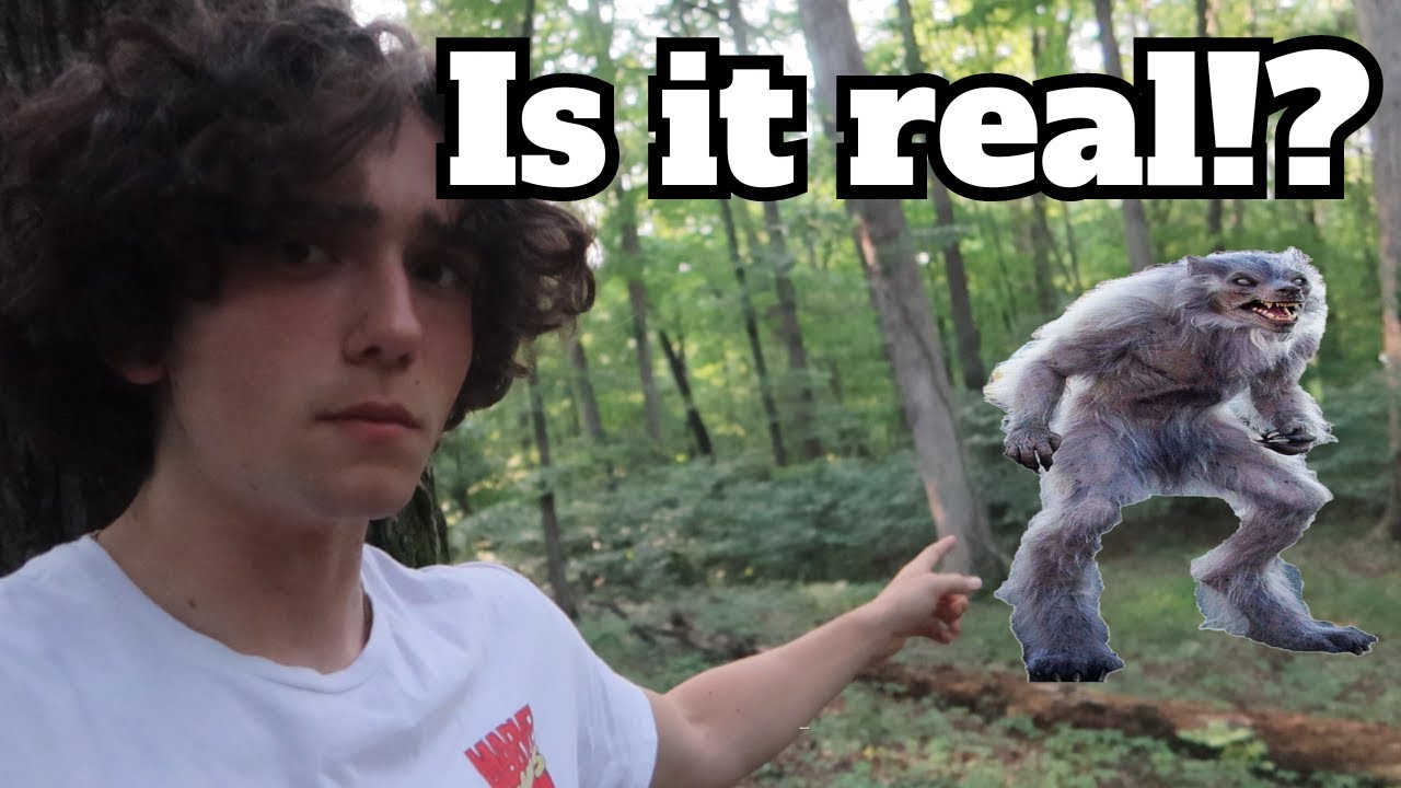 The Werewolf Springs Investigation - YouTube