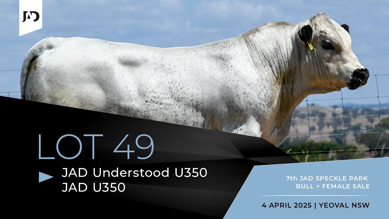 Lot 49: JAD Understood U350 (JAD U350) - YouTube