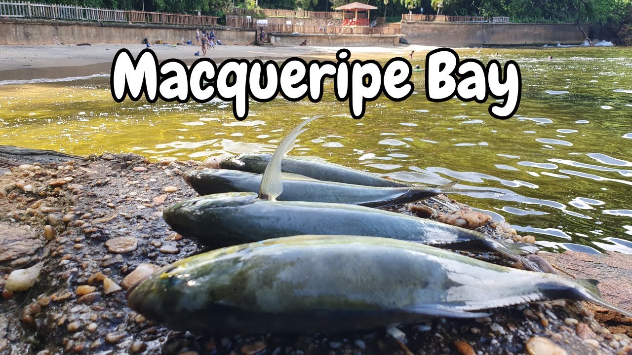 ANYBODY CAN DO THIS KIND OF FISHING! Catch & Cook Off The Rocks ...