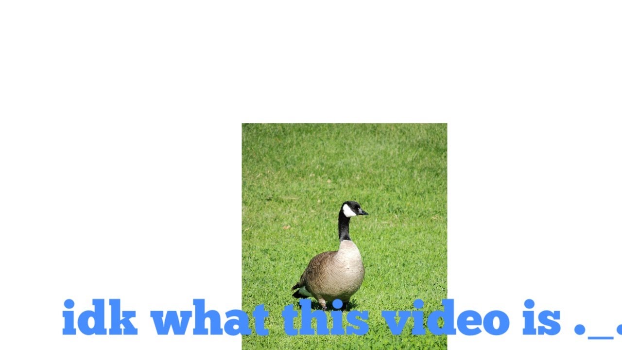 Idk even know what this is - YouTube