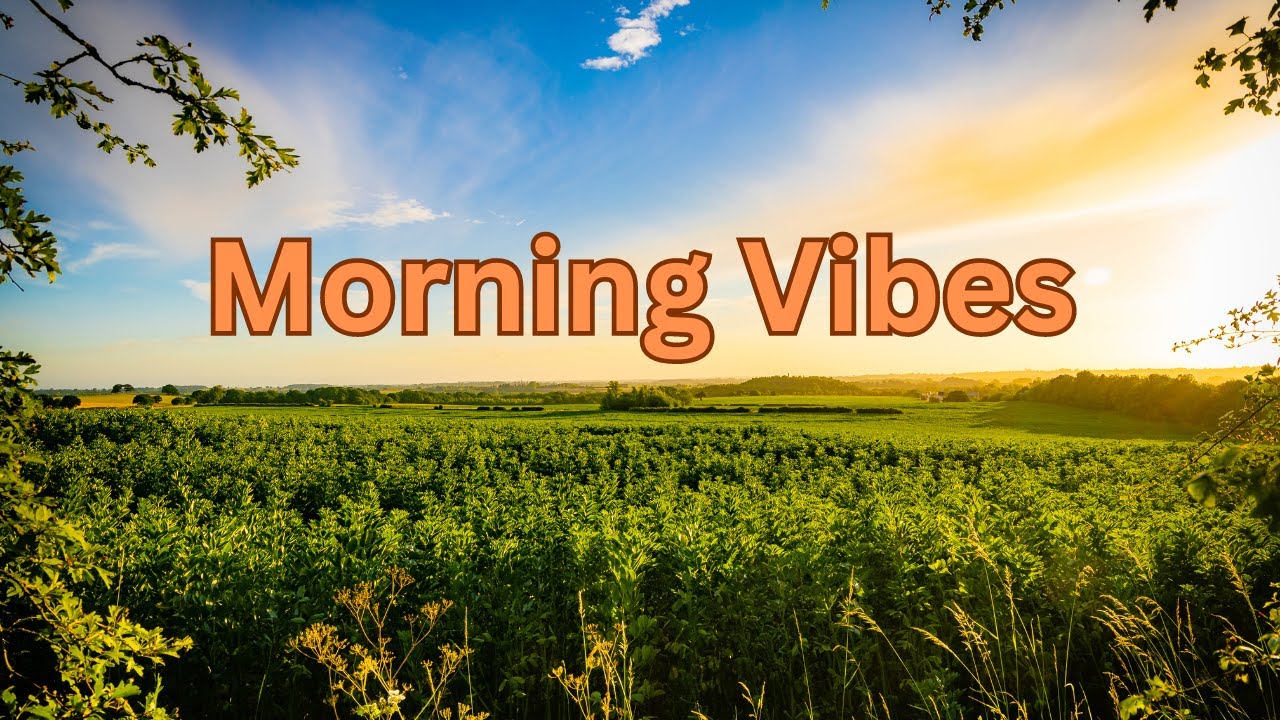 Morning Vibes🌞Morning Mood Songs - YouTube