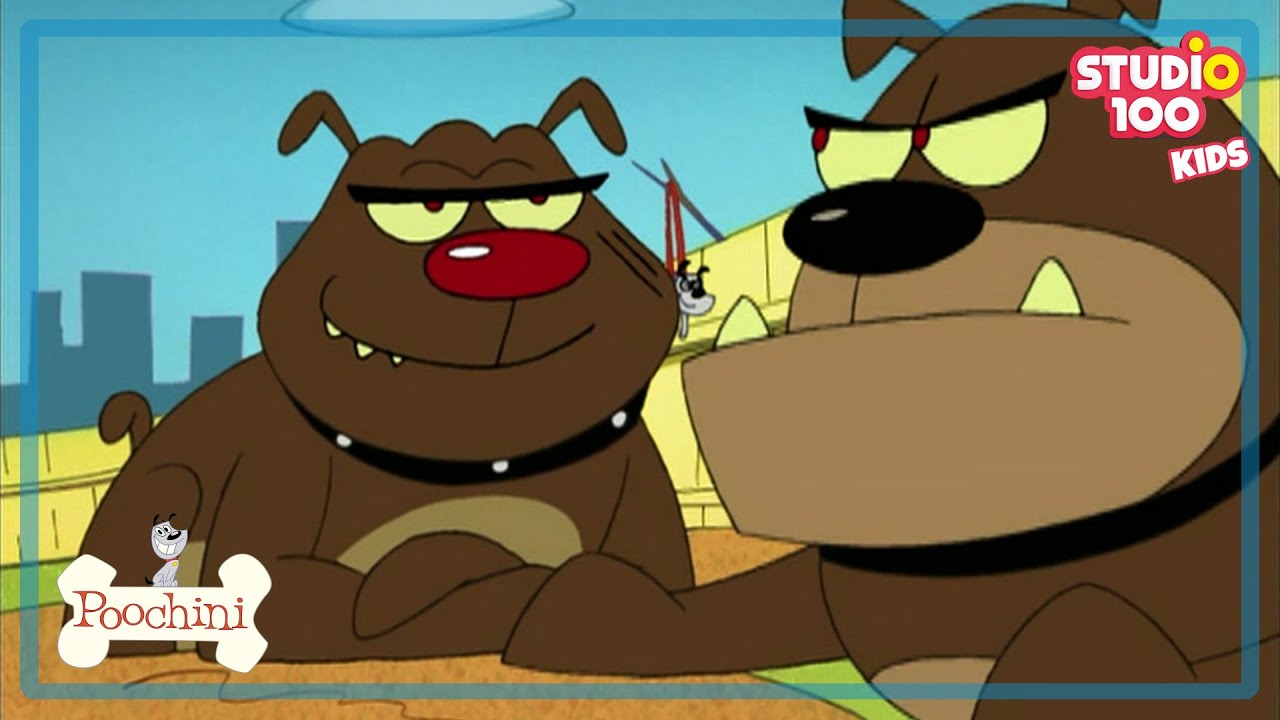 DOG WANTED - E10 - POOCHINI - Studio100 KIDS - KIDS cartoons☺️😁 - YouTube