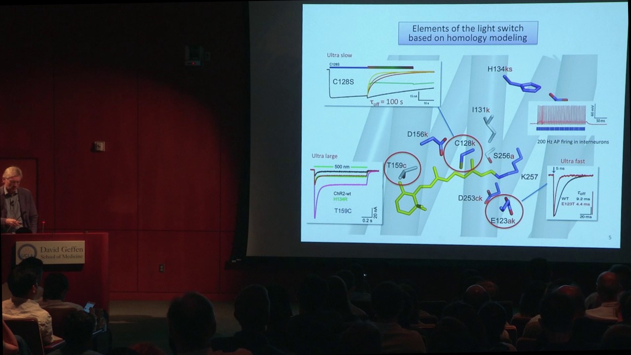 Peter Hegemann | 2016 Massry Prize Lecture - YouTube