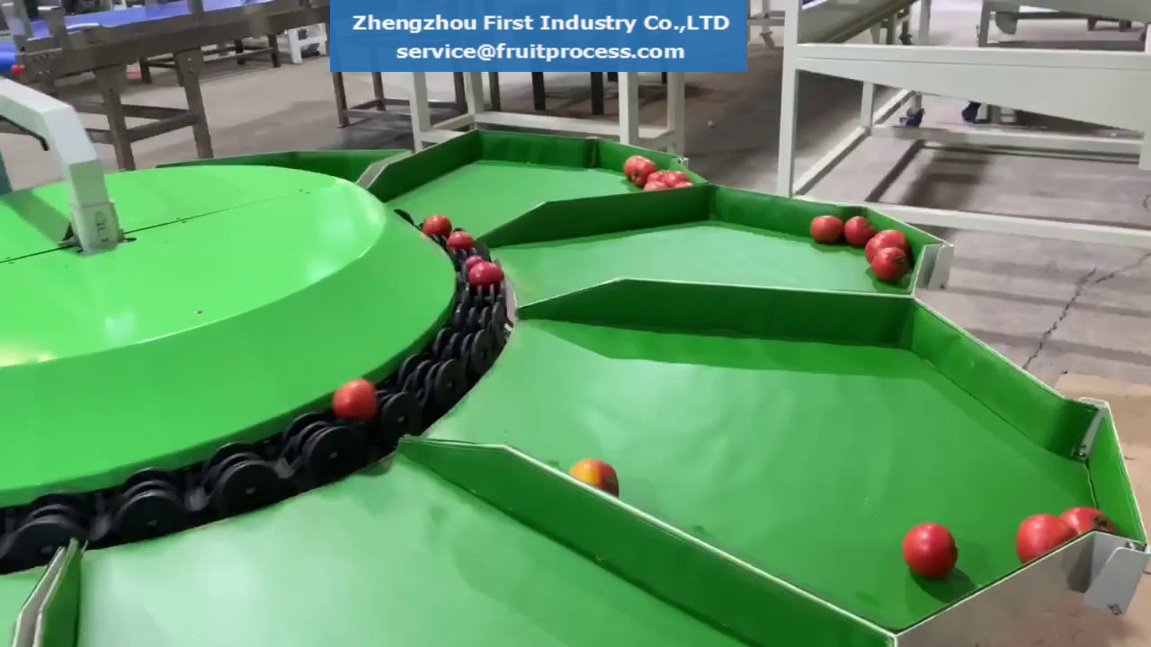 Electronic tomato sorting machine - YouTube