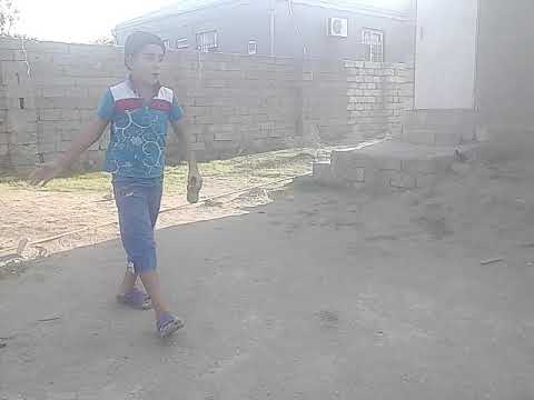 Avaralar