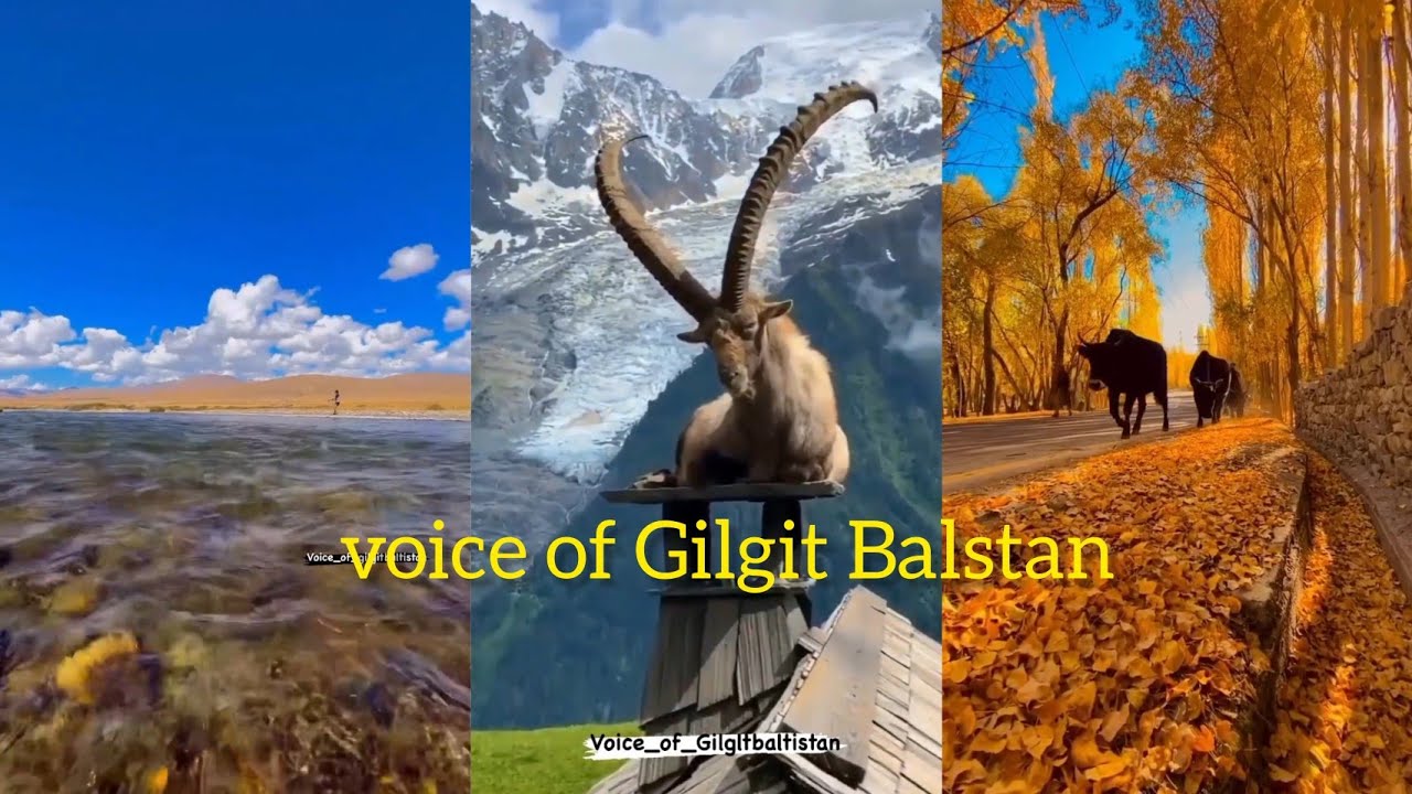 Enjoy Nature of Gilgit Balistan nature beauty video ️ - YouTube