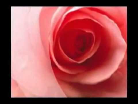 İbrahim Sadri | Peygamber Efendimiz Gelse...