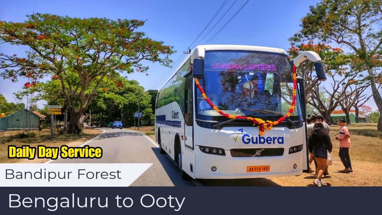 BENGALURU to OOTY | Gubera Express Volvo bus | Bandipur Tiger Reserve 🐯 ...
