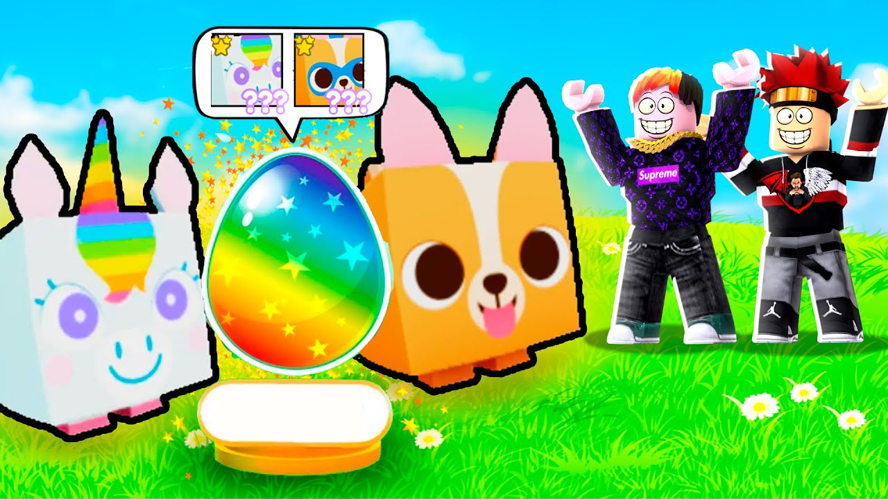 AM DESCHIS din GRESEALA pe HUGE SUPER CORGI in PET SIMULATOR X! - YouTube
