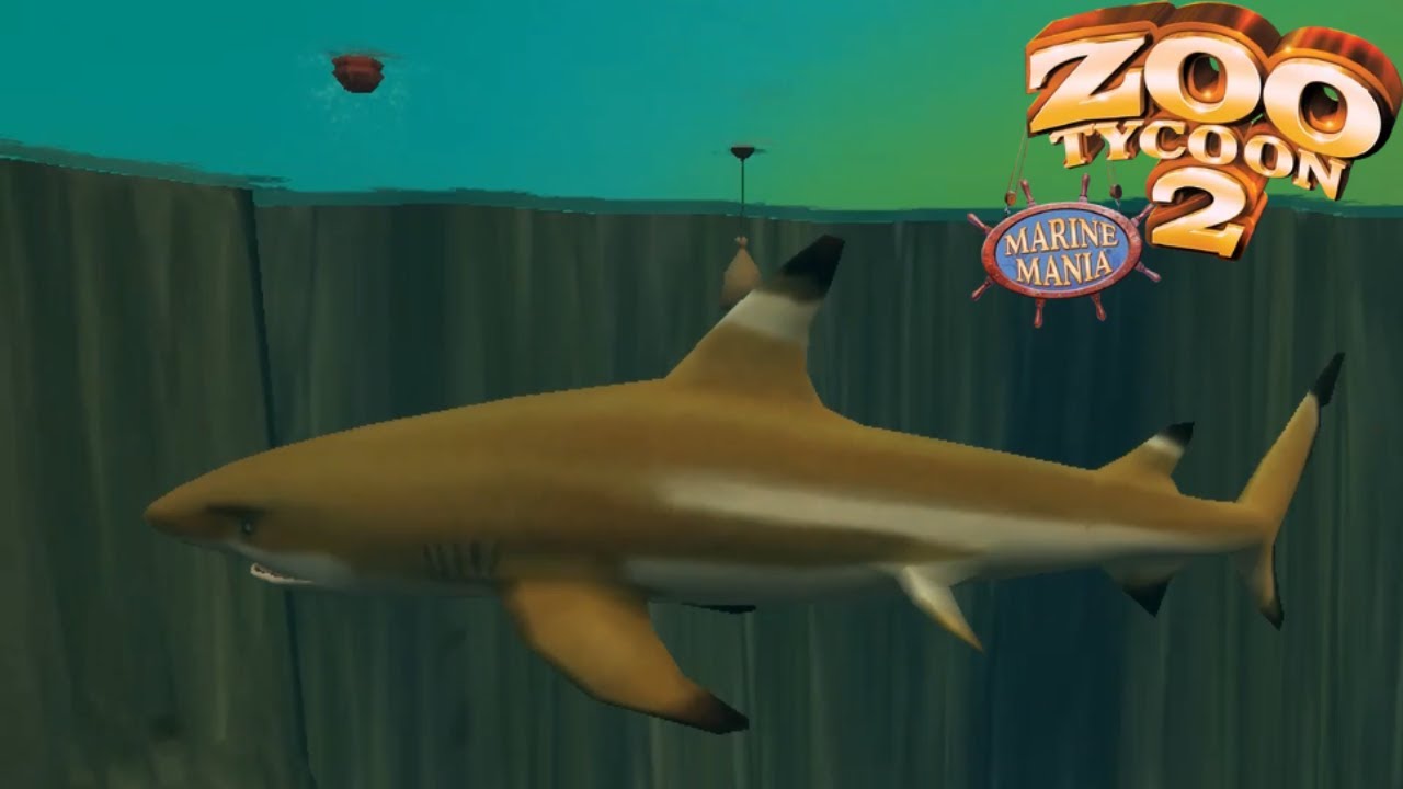 Blacktip Reef shark Zoo Tycoon 2 Marine Mania Gameplay - YouTube