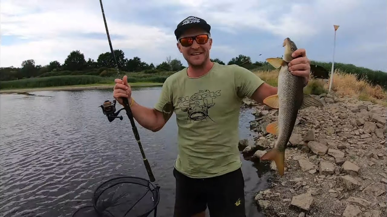 Welsangeln im Hochsommer - YouTube