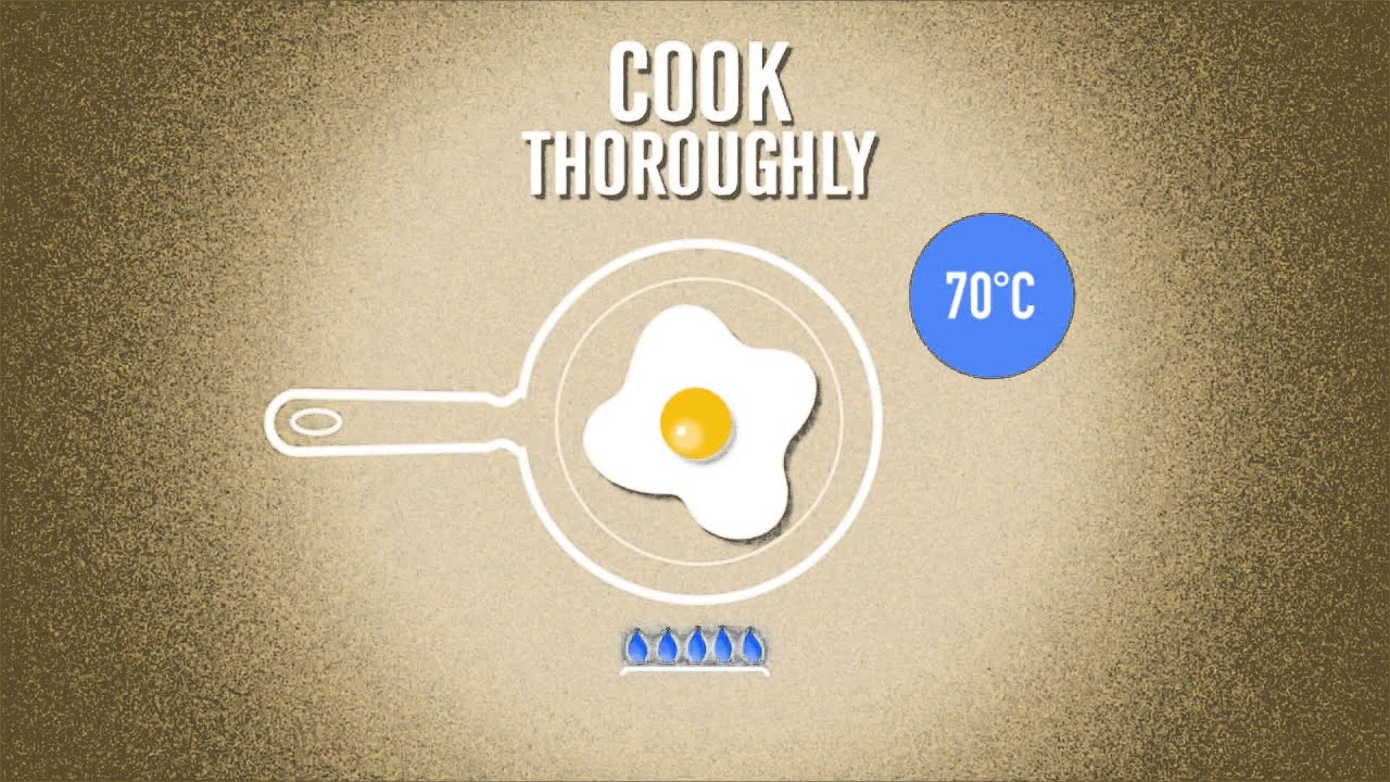 WHO Five keys to safer food short version - YouTube