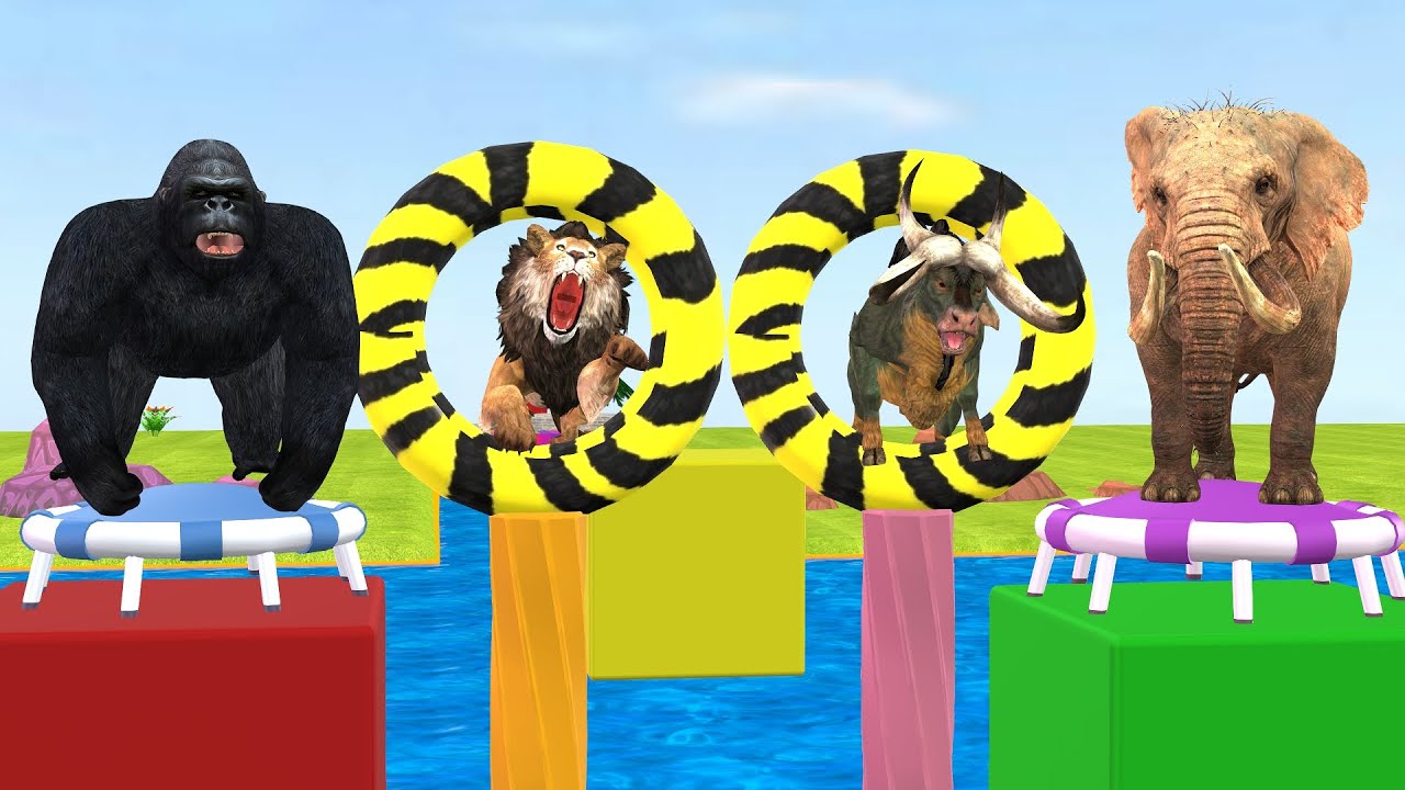 Wild Animals Running And Jumping Obstacle Game With Tiger Gorilla Lion ...