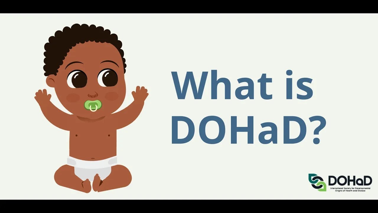What is DOHaD - YouTube