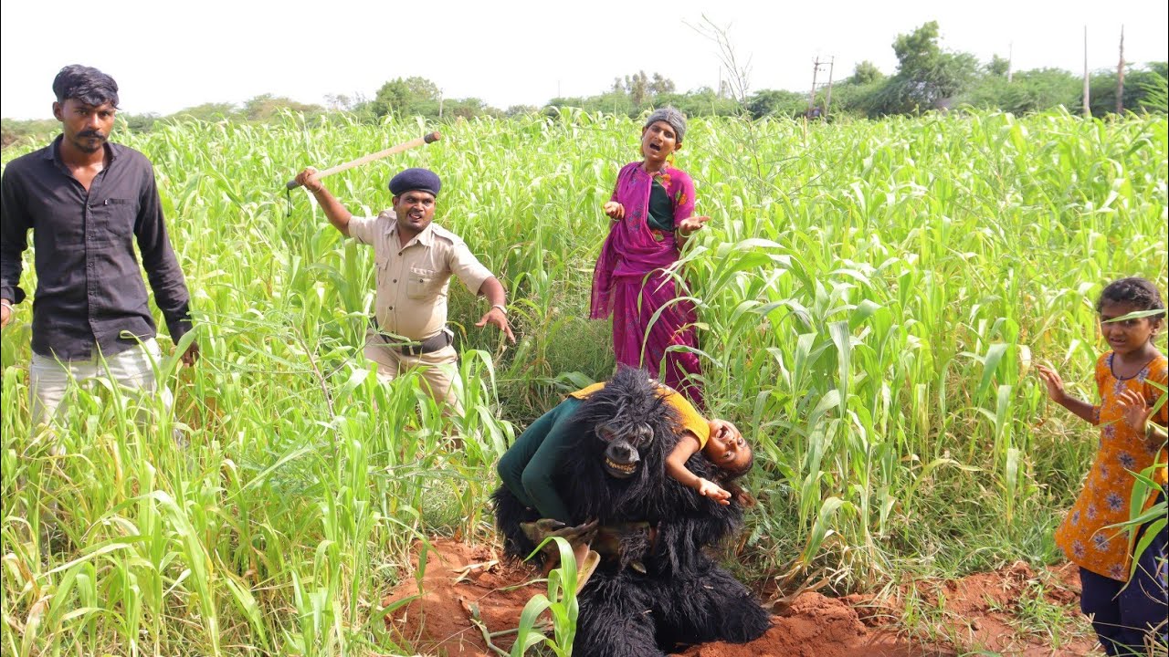 Gorilla ae utha liya Bassi ko || Vijay bhuri vlogs || hindi new movie ...