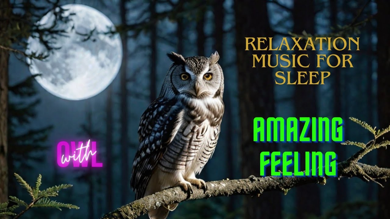 Sleep Music for Relaxation with Owls | Soothing Sounds for Rest - YouTube