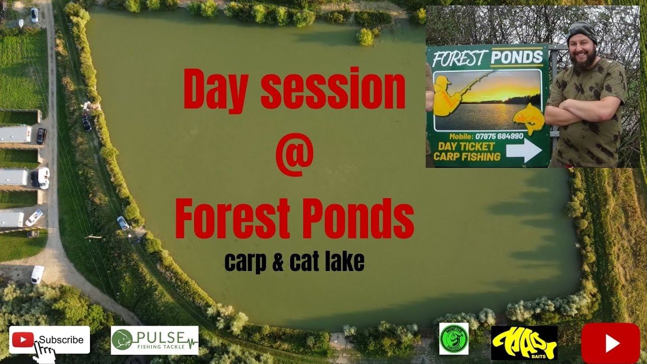 The Carp Hunt episode 30. Day session at Forest ponds carp and cat lake ...