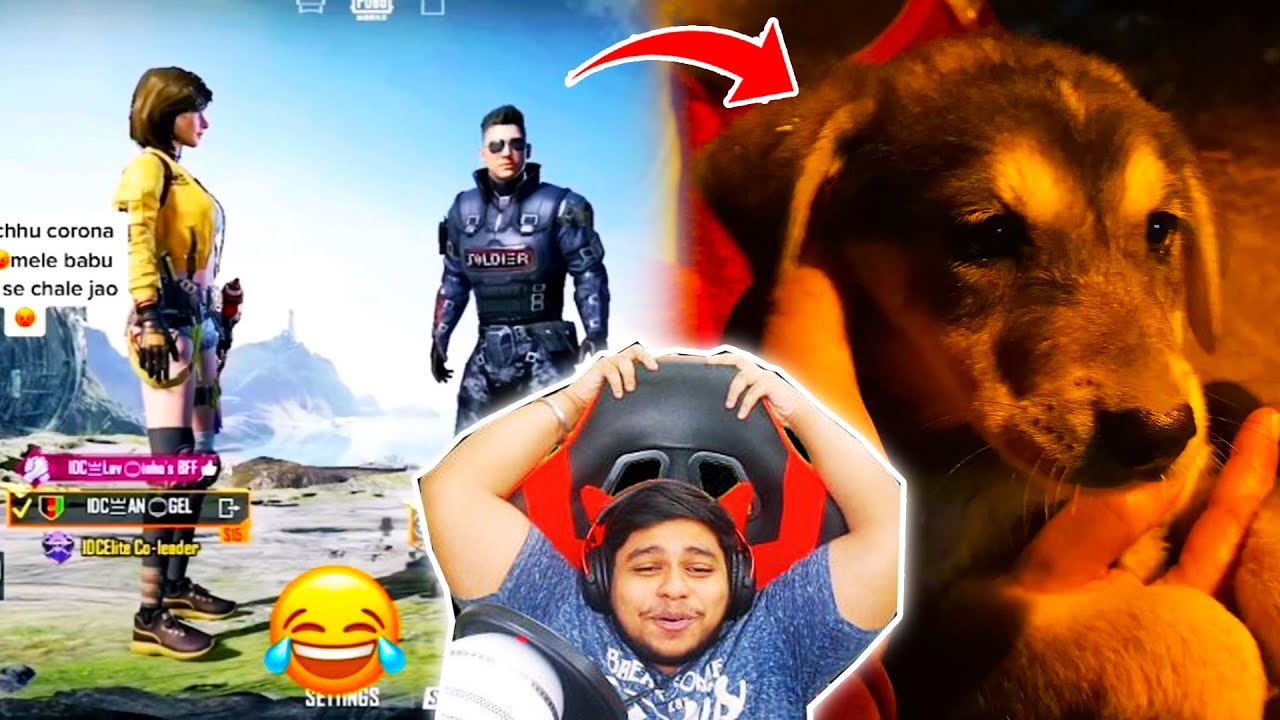 PUBG Mobile DOG FAMILY gone CUTE !! - YouTube