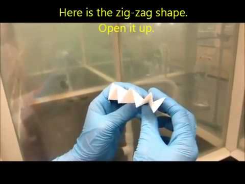 How to Fold Fluted Filter paper - YouTube