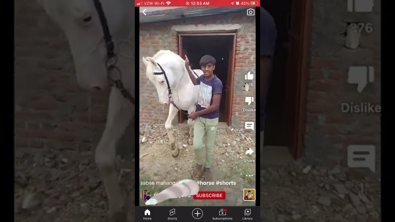 Bringing awareness to horse abuse! ⚠️disturbing videos and images⚠️ ...