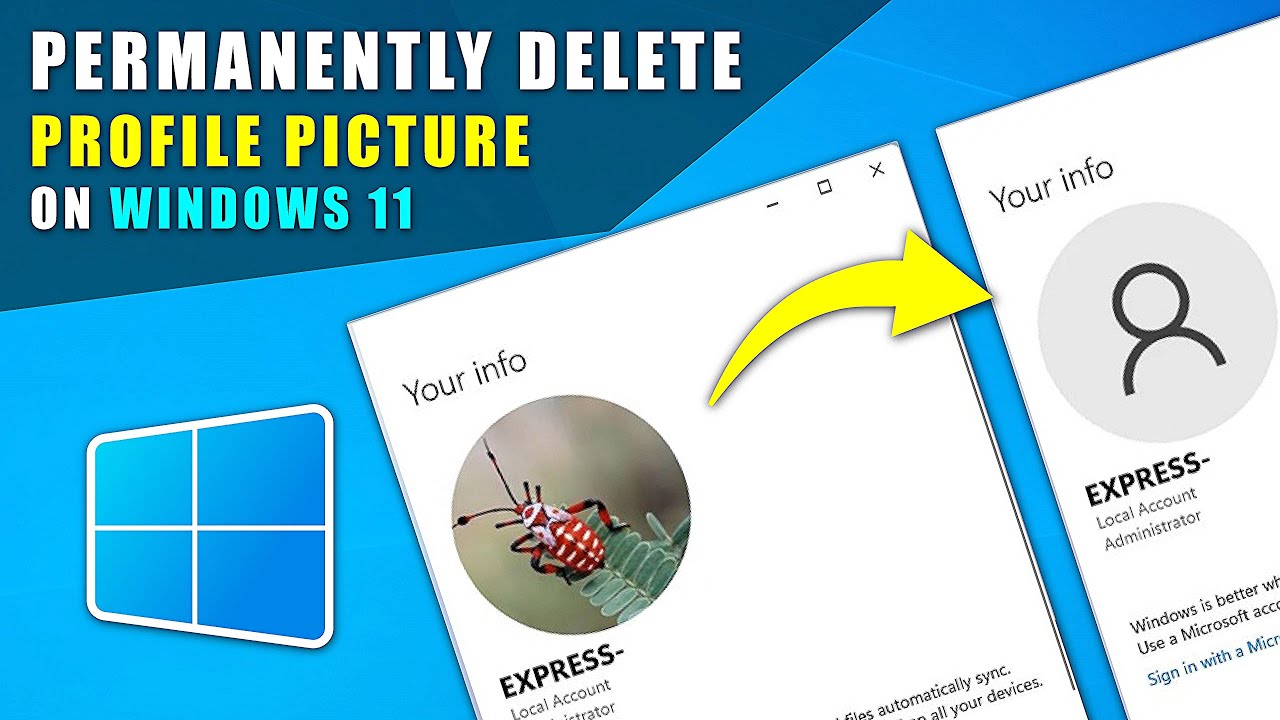 Windows 11: Delete a user account picture in windows 11 - YouTube