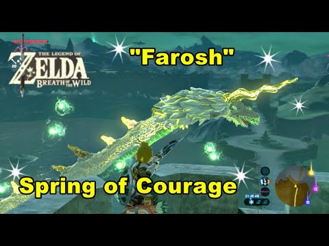 Spring of Courage Breath of The Wild Zelda - YouTube