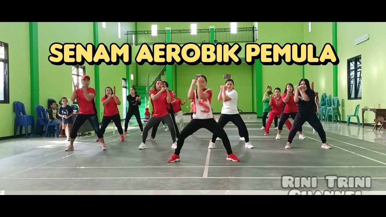 SENAM AEROBIK PEMULA MUDAH | 30 MENIT BAKAR LEMAK - YouTube