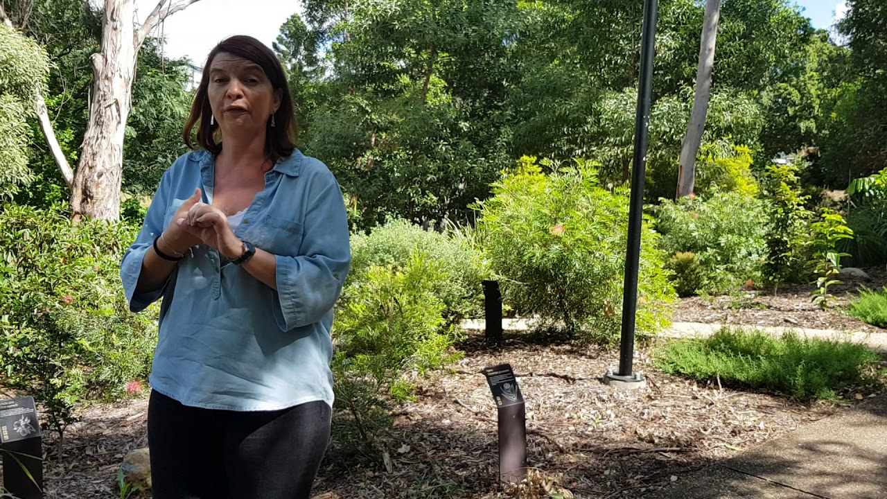 TOUR2007 UQ Bush Tucker Garden - YouTube