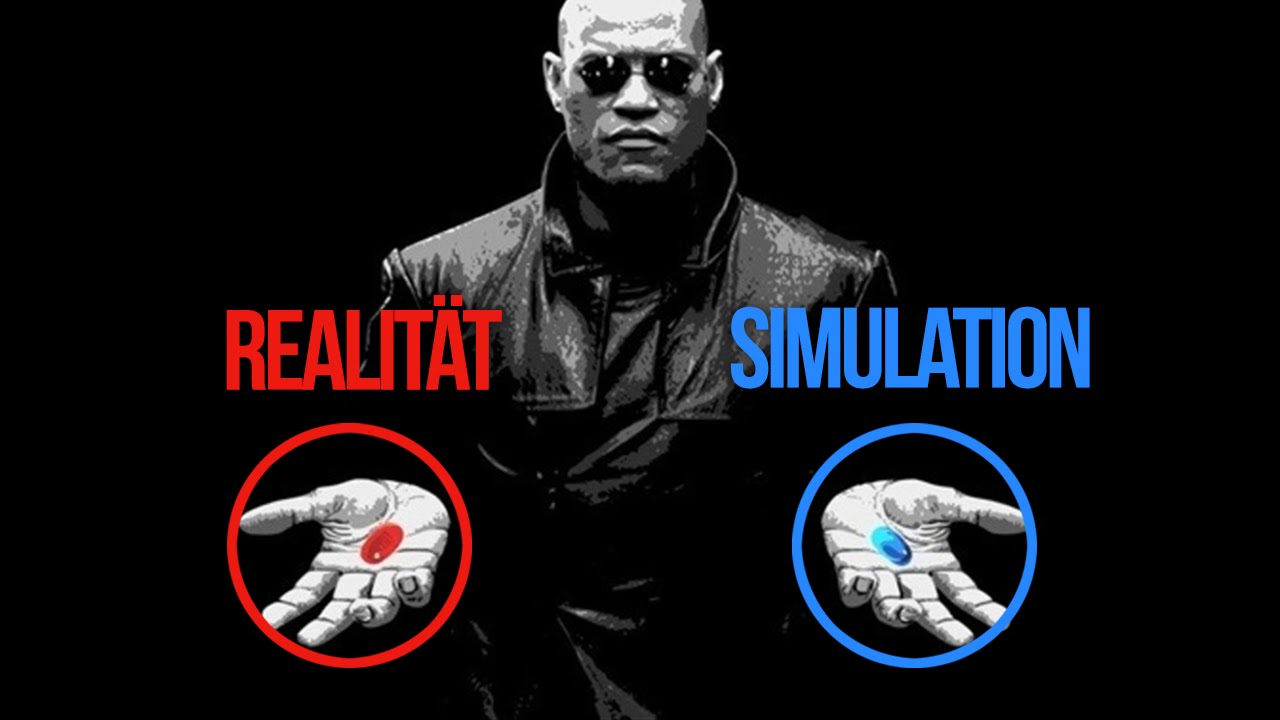 15 Leben Wir In Einer Simulation Buch | Hintergrund DE
