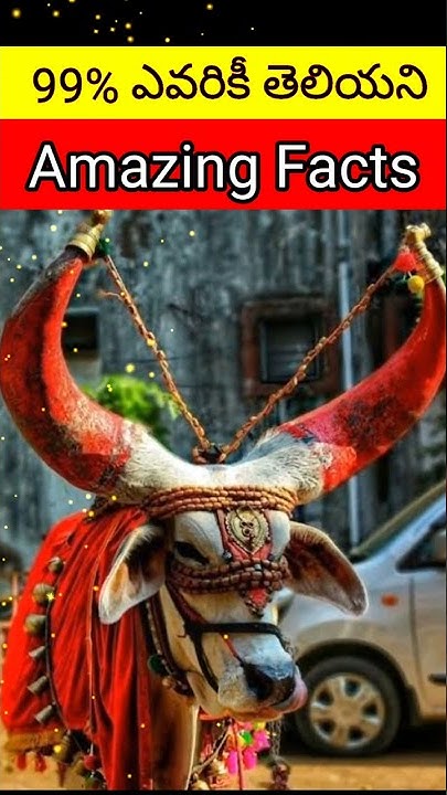 ⚡Top 5 Amazing facts⚡|Most Interesting vr facts in telugu bmc facts alk #shorts #facts # ...