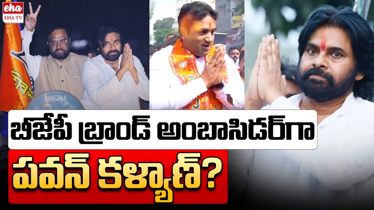 Pawan Kalyan Craze in Maharastra | BJP Brand Ambassidor Pawan Kalyan ...