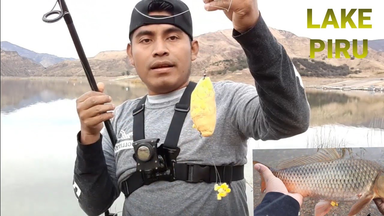 pescando carpas en LAKE PIRU/ con mi nueva masa para carpa /FISHING in ...